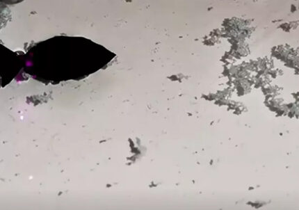 سپید داینامیک - ارائه دهنده محصولات و راهکارهای رباتیک